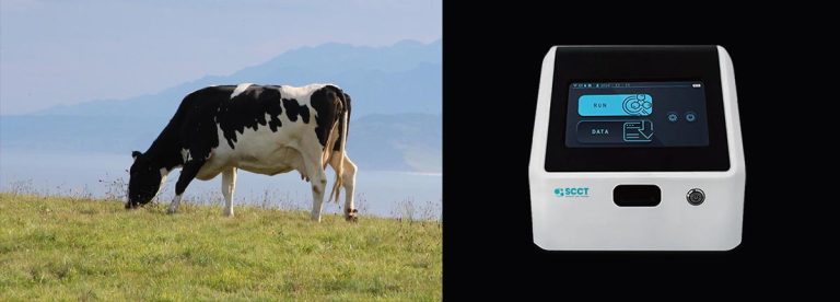 What is Somatic Cell Count and Why Does it Matter in Dairy Farming? - SCCT
