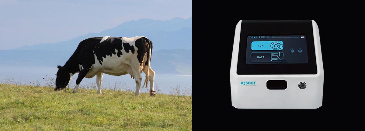 What is Somatic Cell Count and Why Does it Matter in Dairy Farming? - SCCT