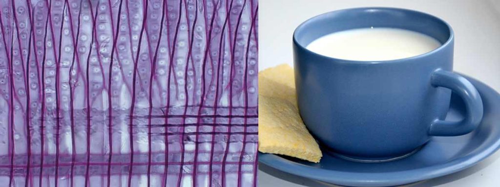 Types of Somatic Cells in Milk and Their Role in Dairy Production - SCCT