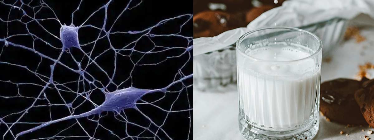 How to Collect the Perfect Milk Sample for Accurate Somatic Cell Count ...
