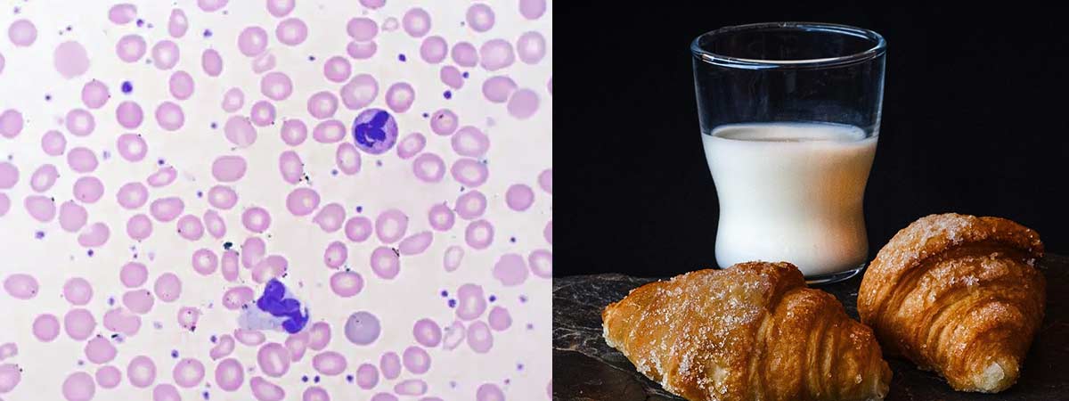 Quarter and Composite Sampling for Somatic Cell Count Test - SCCT