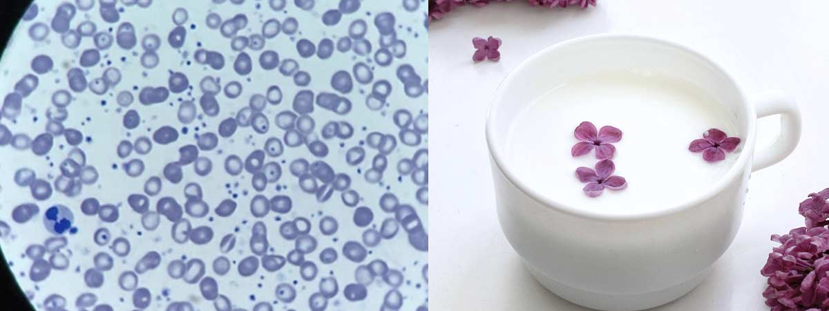 Quarter and Composite Sampling for Somatic Cell Count Test - SCCT