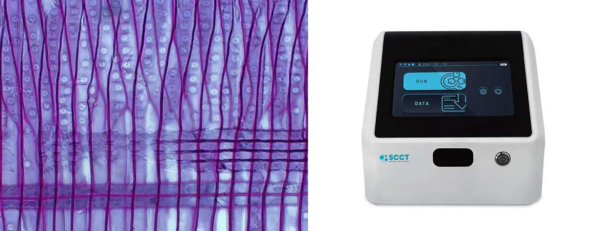 Syncing Somatic Cell Count Data with Your Farm Management Software - SCCT