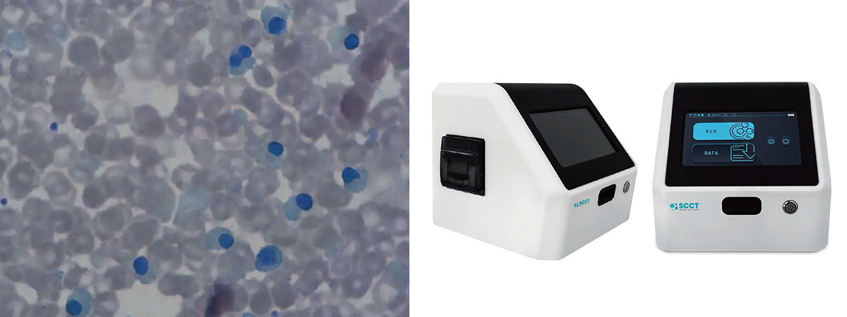 Syncing Somatic Cell Count Data with Your Farm Management Software - SCCT