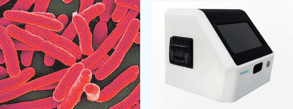 Understanding Severe Clinical Signs in E. coli Mastitis with Only ...